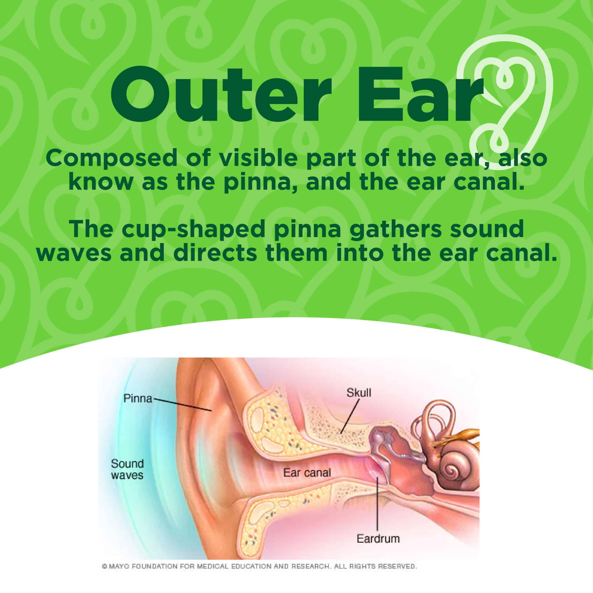 Mobile Hearing Clinic | KY Hears